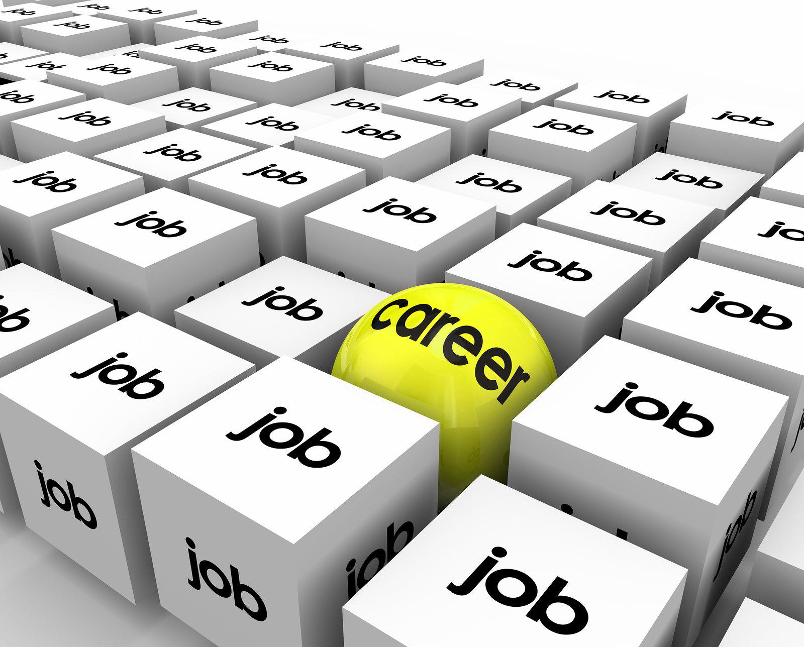 Career vs job sphere in cubes to illustrate a great work opportu ...